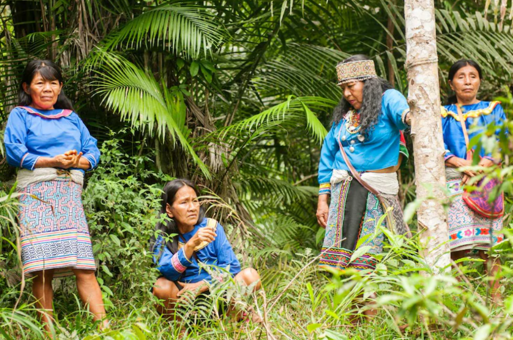 The different Amazonian communities with traditions of consuming the ...