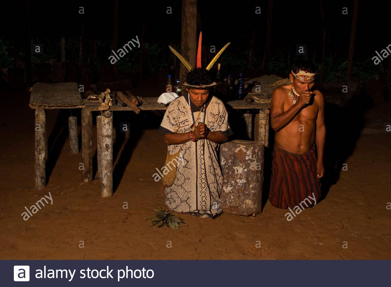 Shaman – Ayahuasca